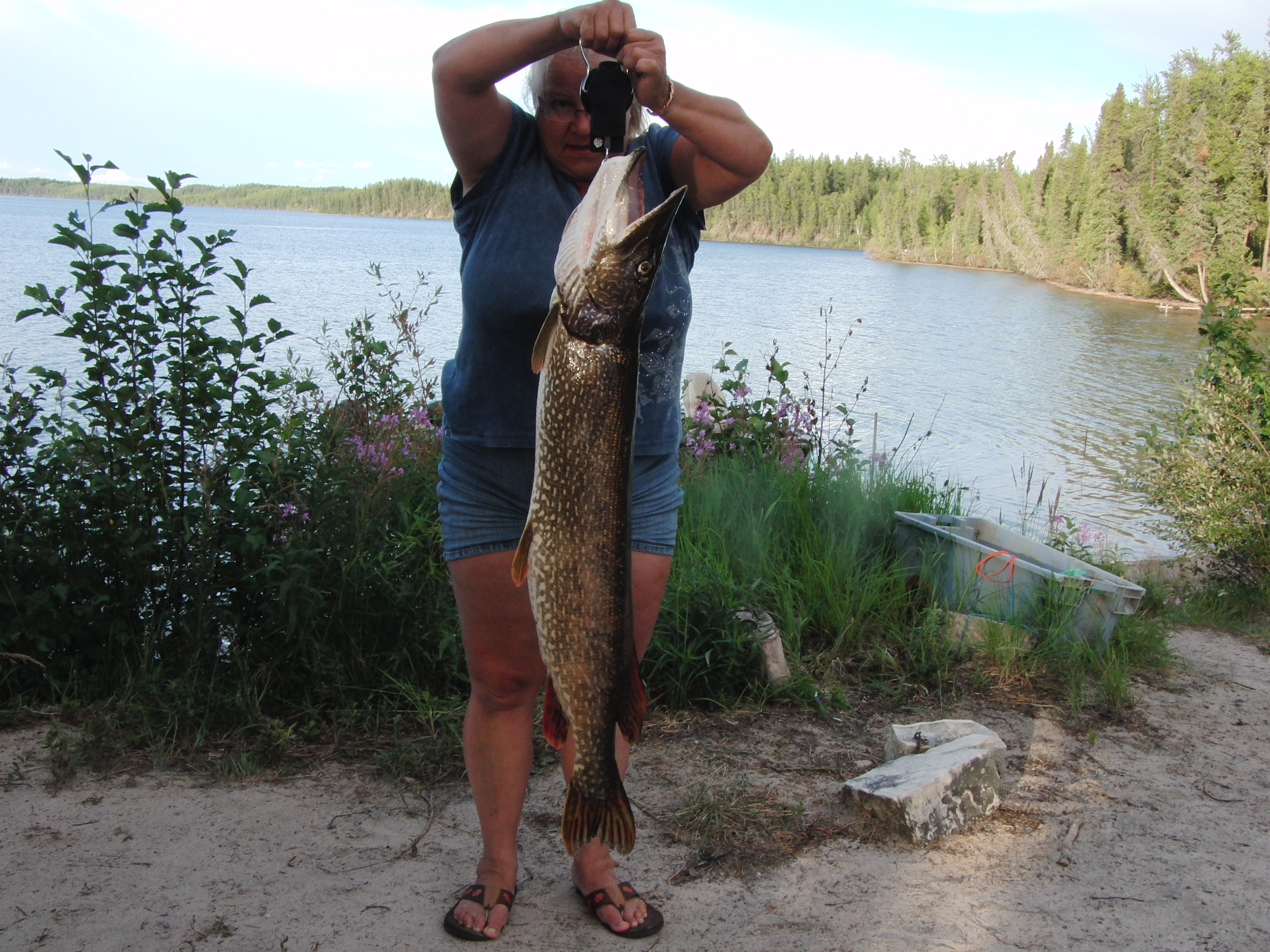 lone wolf camps - carswell lake hunting and fishing camp